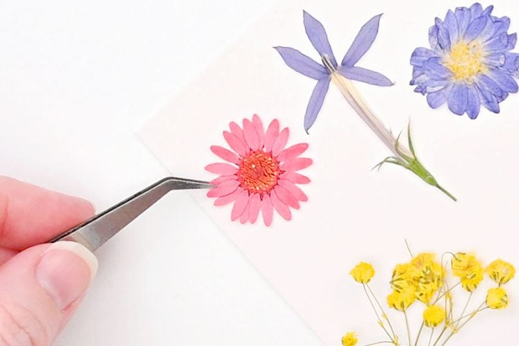 Pressed Flower Rocks | Easy Pressed Flower Craft