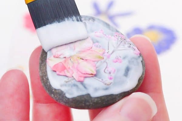 Pressed Flower Rocks | Easy Pressed Flower Craft