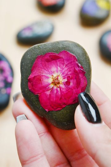 Pressed Flower Rocks | Easy Pressed Flower Craft