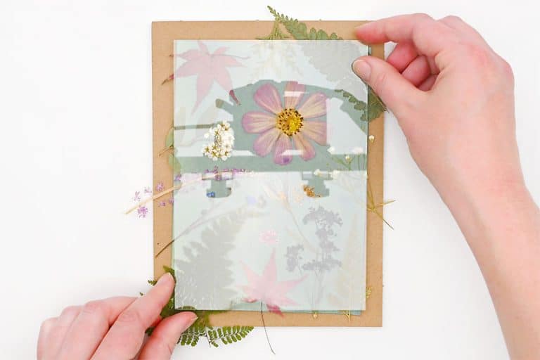Cyanotype Printing: How to Make Sun Prints Step-by-Step