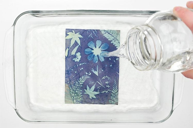 Cyanotype Printing: How to Make Sun Prints Step-by-Step