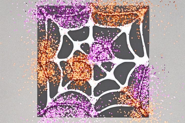 Glitter Spider Web | Fun Spider Web Glitter Craft
