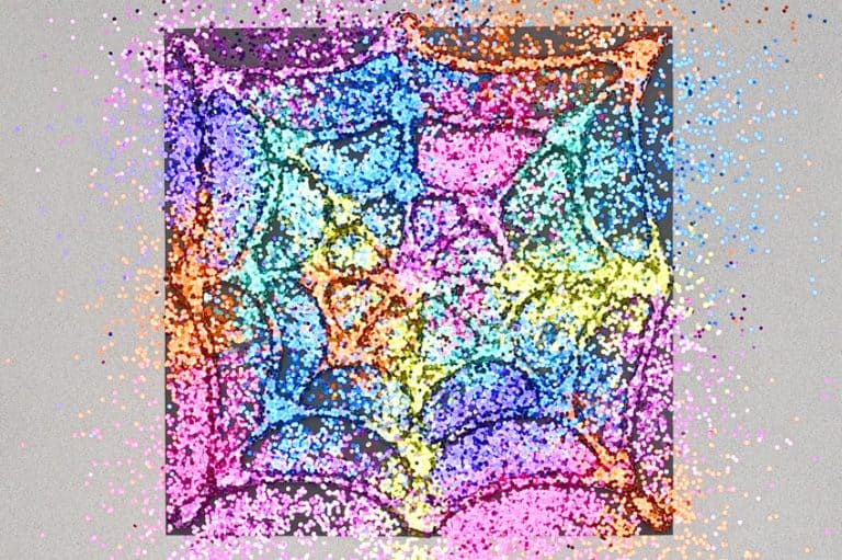 Glitter Spider Web | Fun Spider Web Glitter Craft