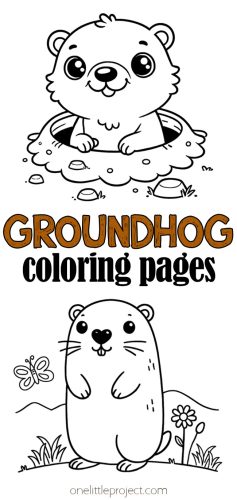Groundhog Feces Images