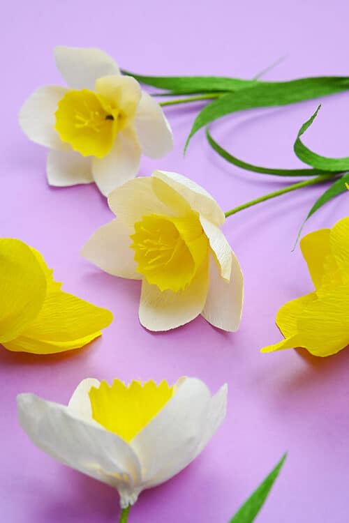 Crepe Paper Daffodils | Easy Daffodil Crepe Paper Flowers