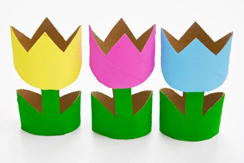 Paper Roll Birds | Toilet Paper Roll Bird Craft