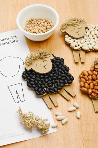 Sheep Bean Art | Adorable Lamb Craft with Beans