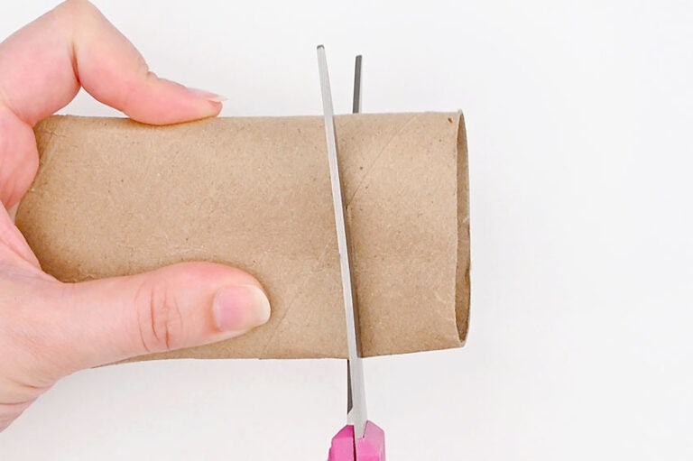 Paper Roll Birds | Toilet Paper Roll Bird Craft