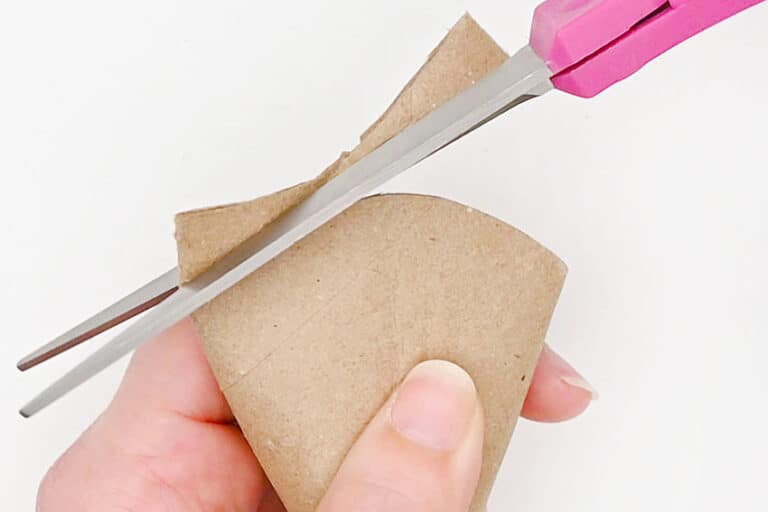 Paper Roll Birds | Toilet Paper Roll Bird Craft