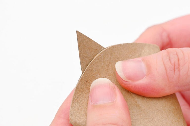 Paper Roll Birds | Toilet Paper Roll Bird Craft
