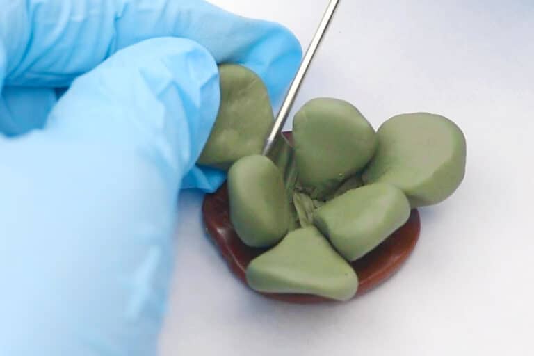 DIY Clay Cactus - Cute and Easy Polymer Clay Craft