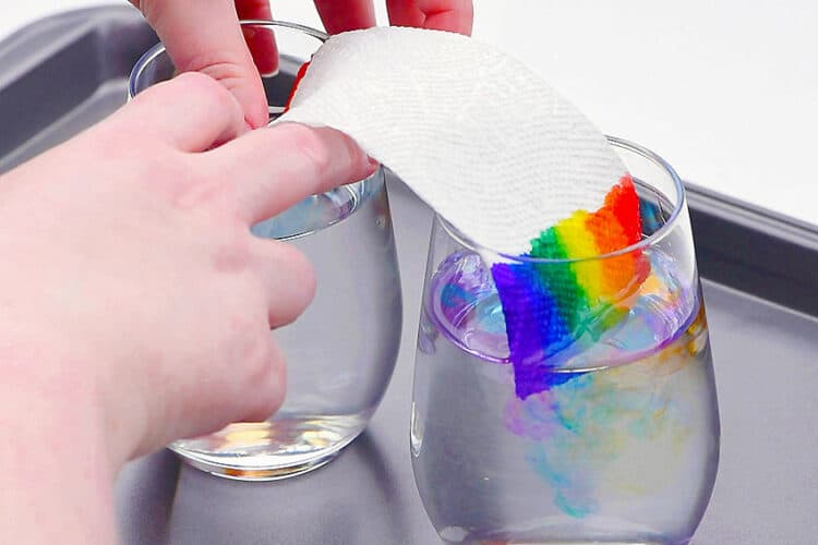 Grow a Rainbow Experiment | Growing a Rainbow STEM Activity