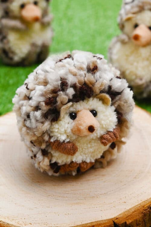 Pom Pom Hedgehog | Cute Hedgehogs Pom Pom Craft