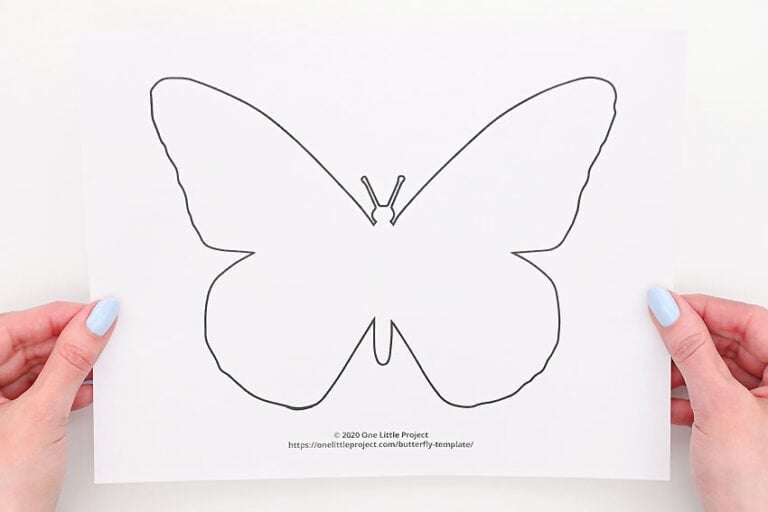 Floral Paper Roll Butterfly - Easy Spring Craft for Kids