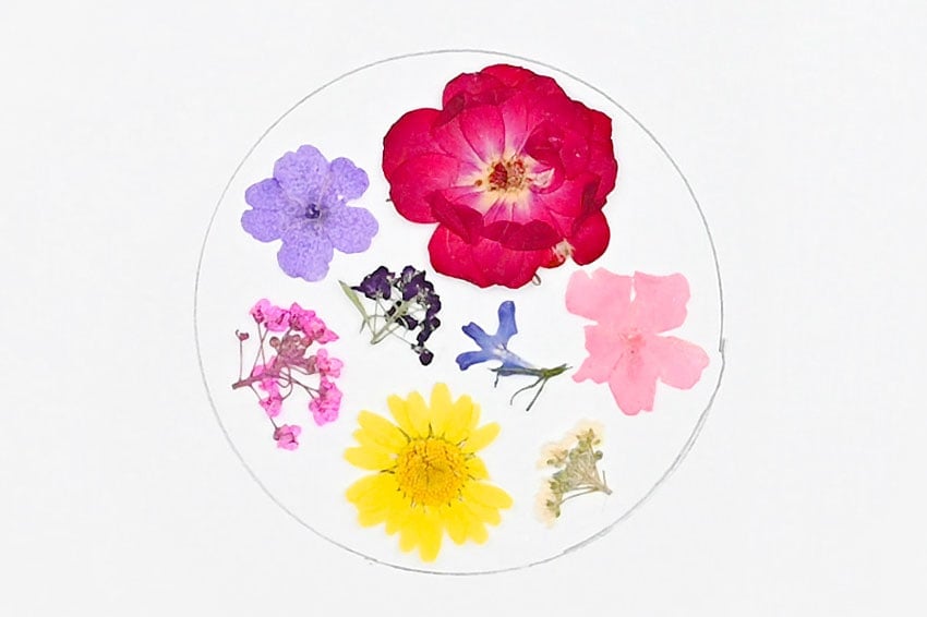 DIY Pressed Flower Suncatcher with Mason Jar Lids