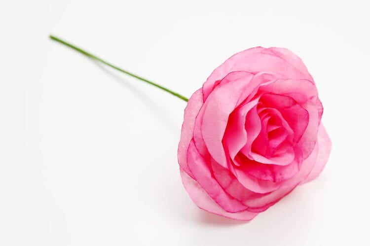 Coffee Filter Roses - Easy DIY Paper Flower Tutorial