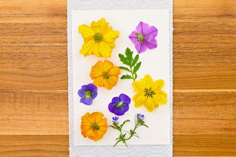 Flower Pounding Craft - Hammered Flower Prints on Paper