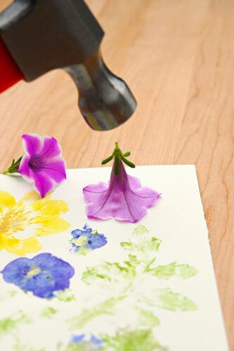 Flower Pounding Craft - Hammered Flower Prints on Paper