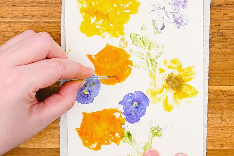 Flower Pounding Craft - Hammered Flower Prints on Paper