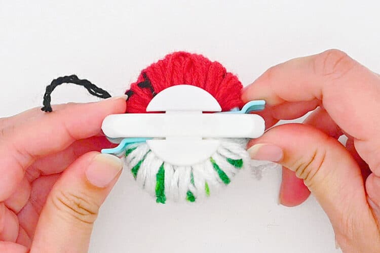 How to Make Pom Pom Fruit - Cute & Colorful Yarn Craft
