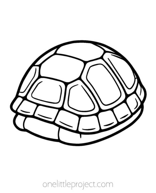 Turtle Coloring Pages - Free Printable Turtle Coloring Sheets