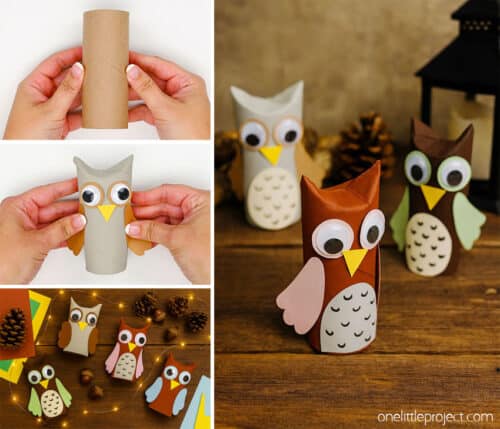 Paper Roll Owl Craft - Easy DIY Owl from Recycled Rolls