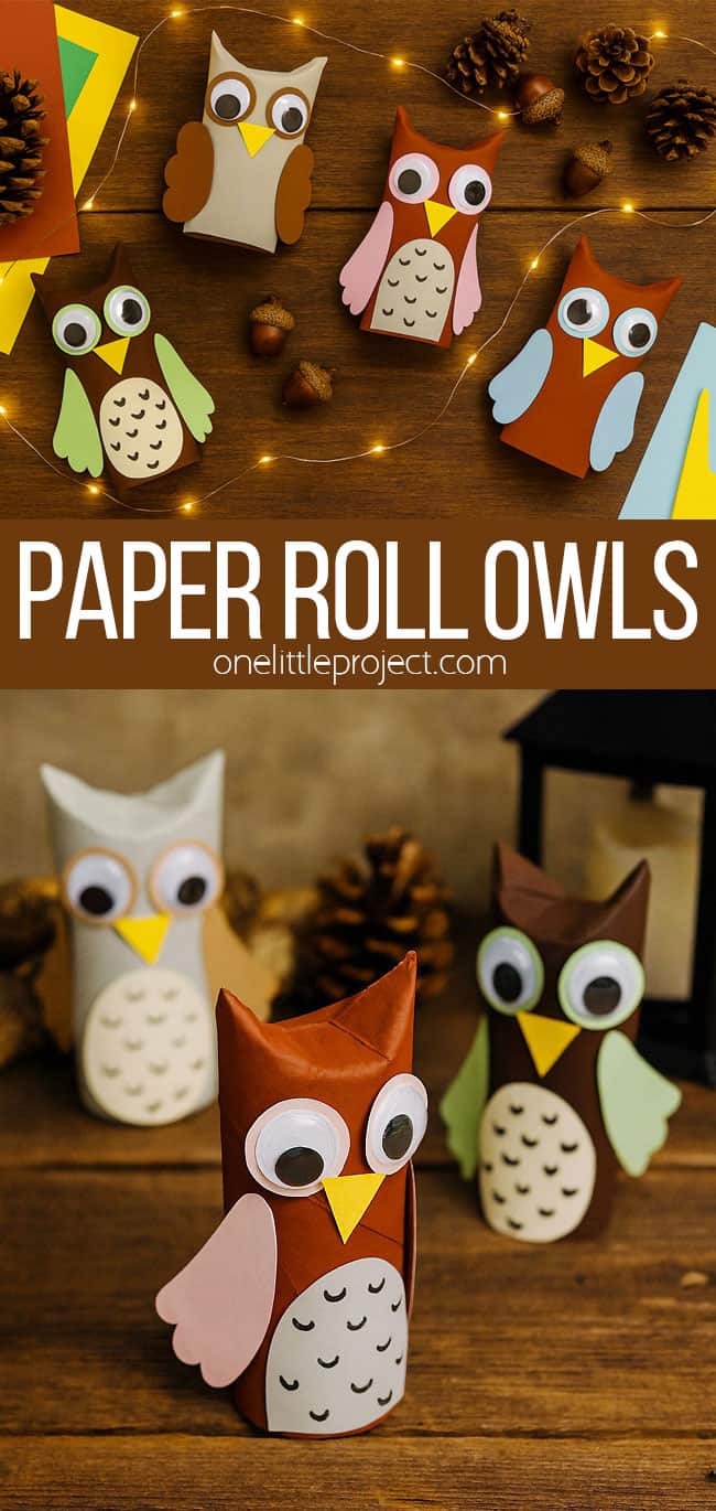 Paper Roll Owl Craft - Easy DIY Owl from Recycled Rolls