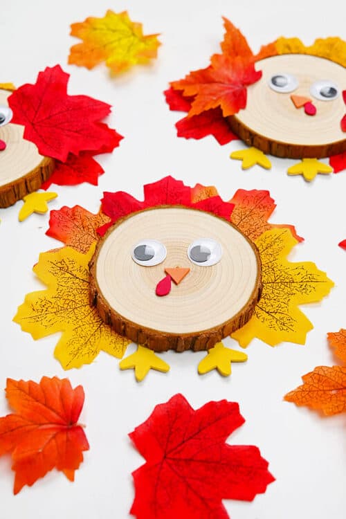 Wood Slice Turkey Craft - Cute & Easy Turkey Decoration