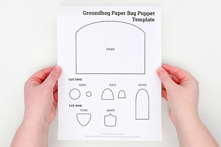 Groundhog Paper Bag Puppet - Cute & Easy Groundhog Day Craft